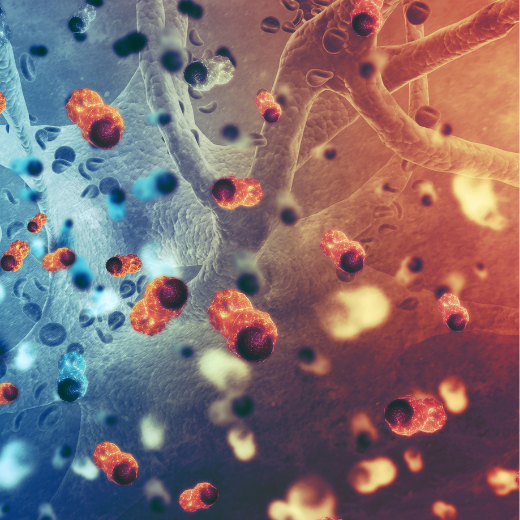 Live Blood Analysis - Holistic Fertility Group